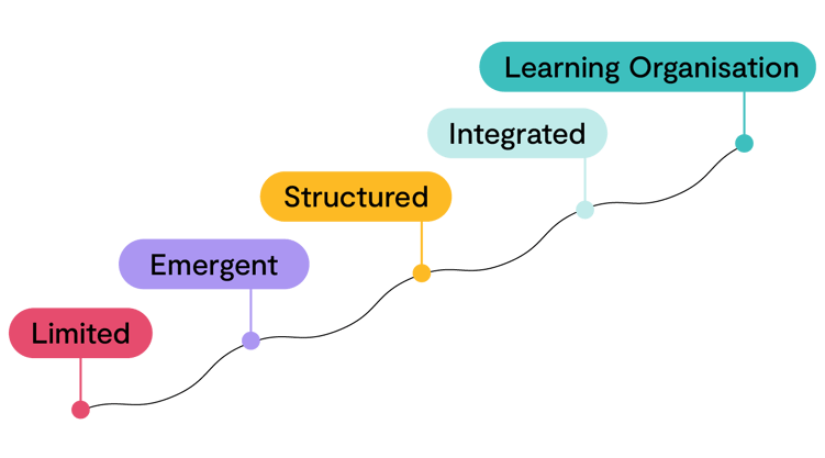 Learning Maturity Model - Learning